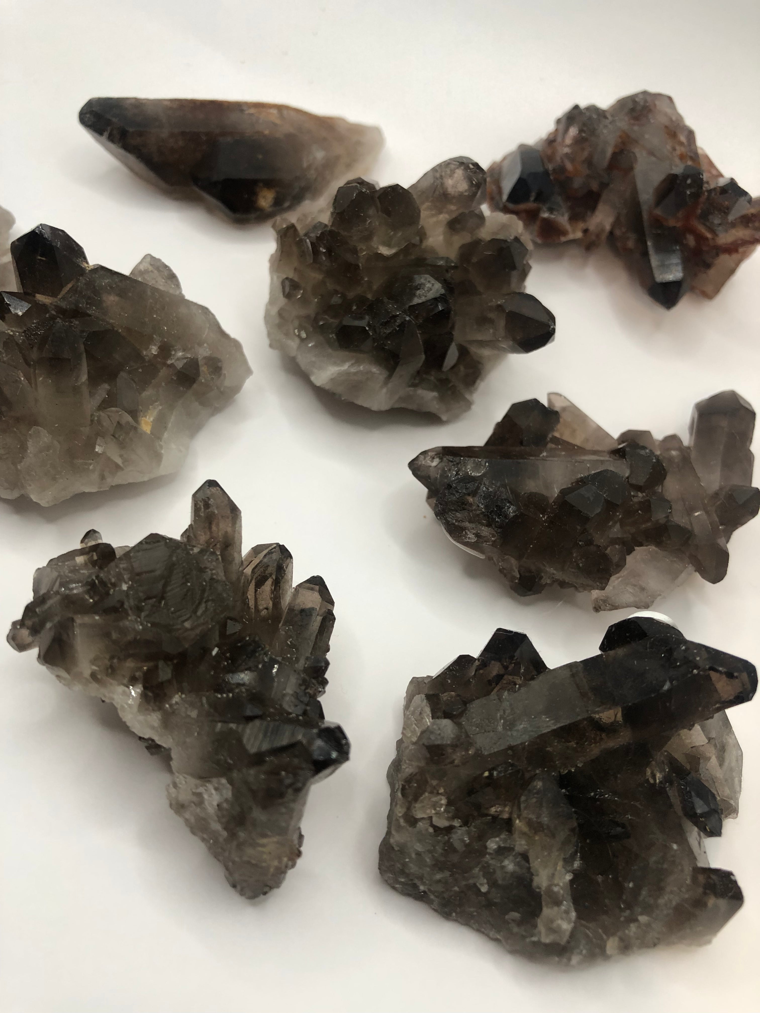 Clusters – Emerald Evergreen Co.